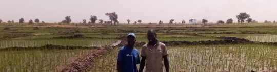 Block Farming: A new Farming Approach to Improve the Performance of ...