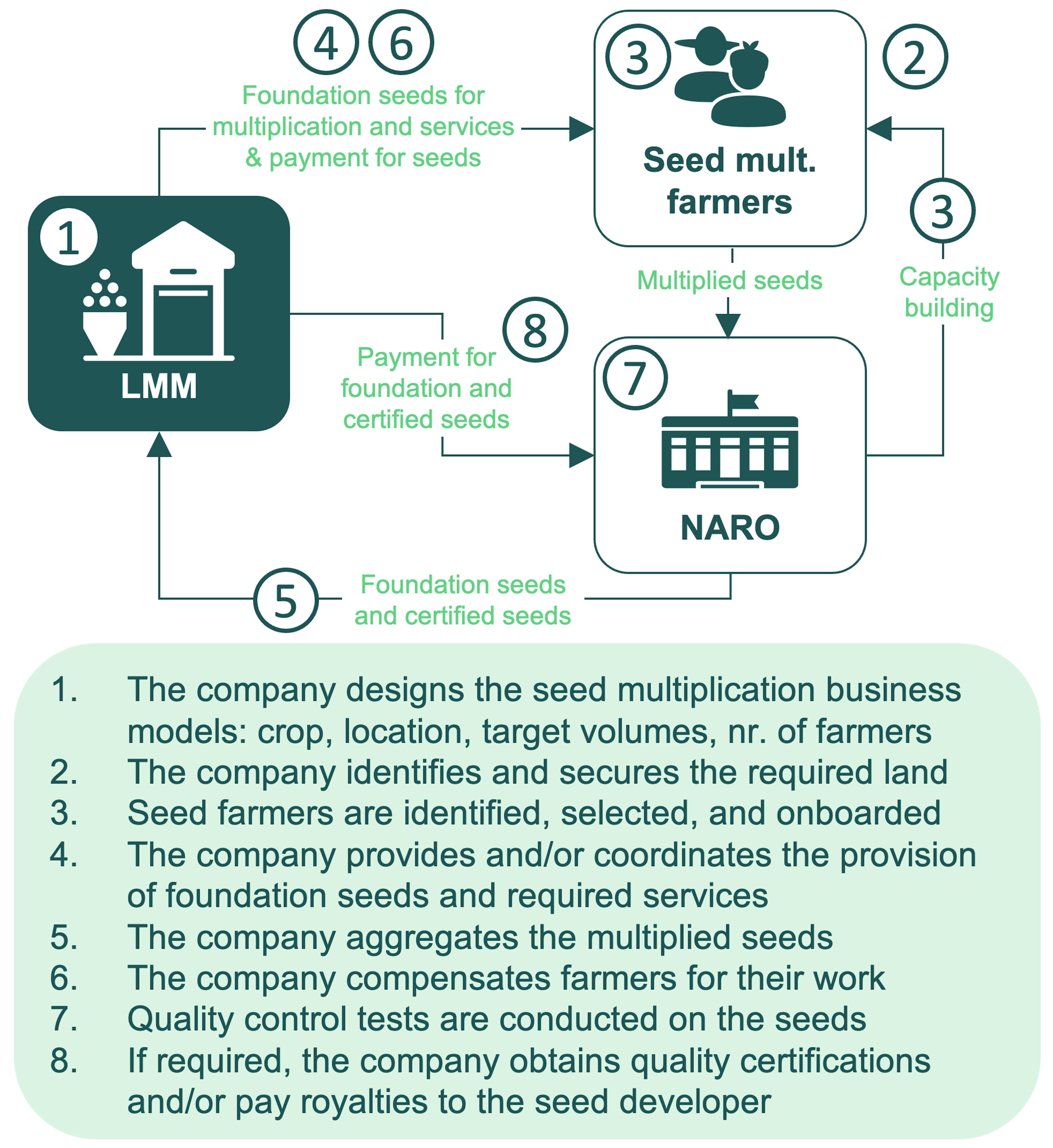 In-House Seed Multiplication: Boost Agri-Business Resilience :: FarmFit ...