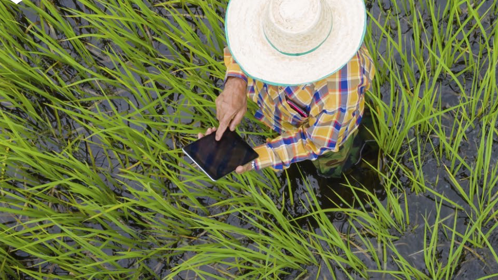 Using Farm-Level Data Report | FarmFit Insights Hub :: FarmFit Insights ...