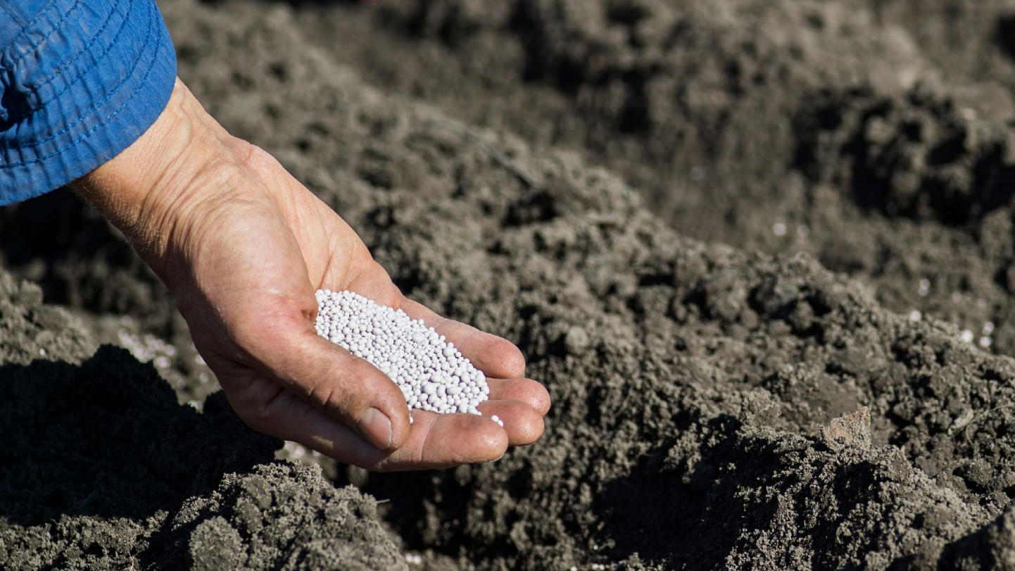 Strengthening Agricultural Value Chains with Responsible Fertilizer Use ...